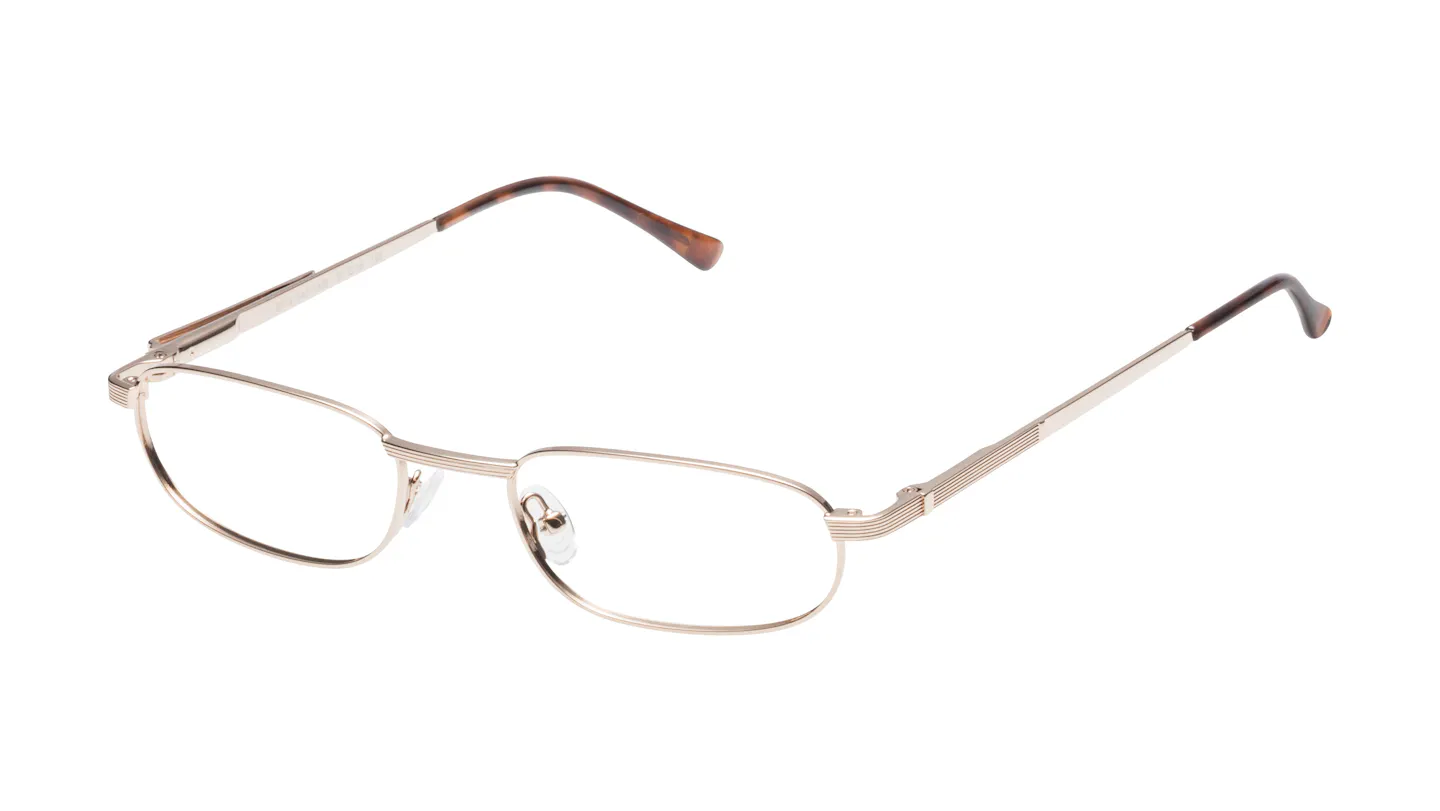 GV Library Damen Brille in Goldfarben und Havana | Apollo
